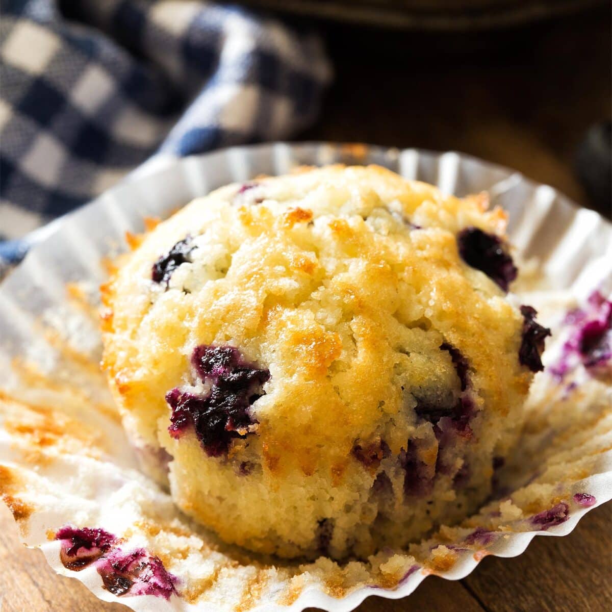 Small Batch Blueberry Muffins - Homemade In The Kitchen